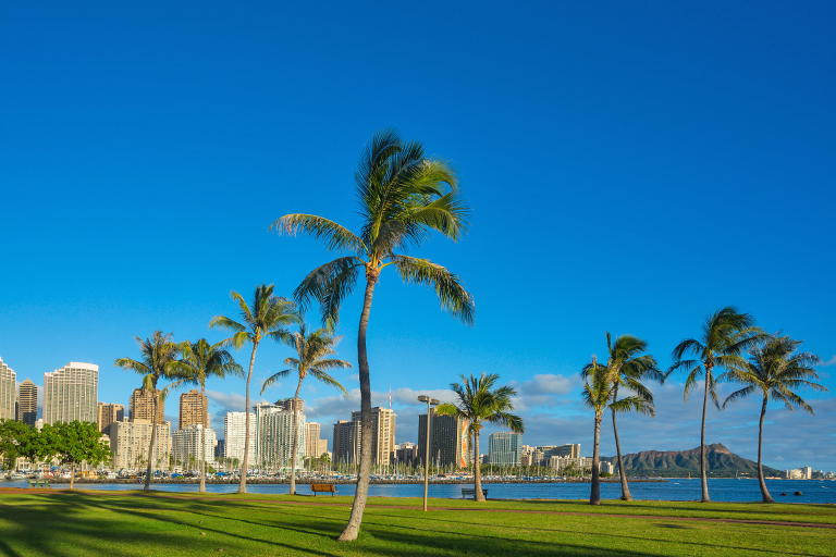 honolulu palm